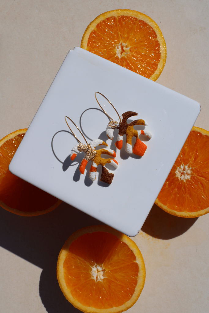 Orange Monstera – Ginkgo